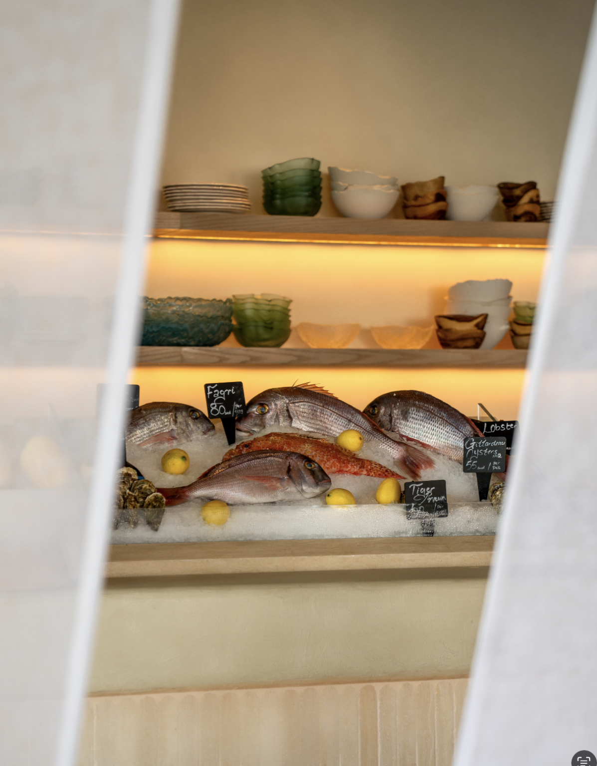 Menus – Son Of A Fish